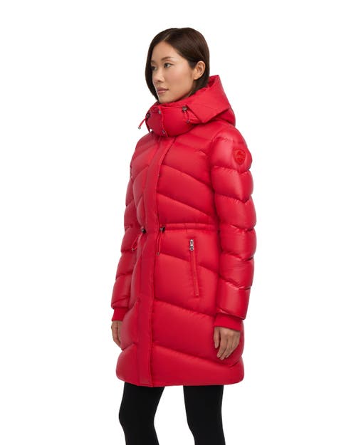PAJAR Mid-Length Quilted Puffer with Removable Hood